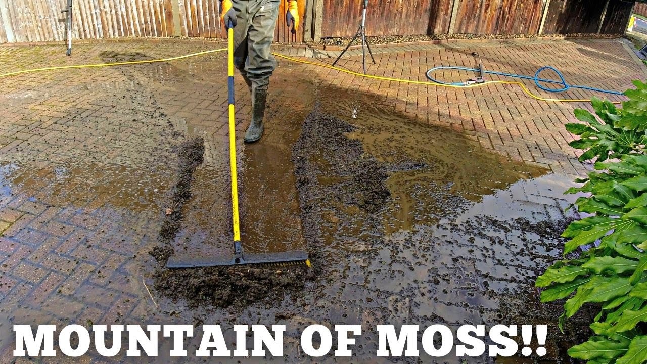 JOINTS OVERFLOWING WITH MOSS! A MONSTER DRIVEWAY CLEAN! - YouTube