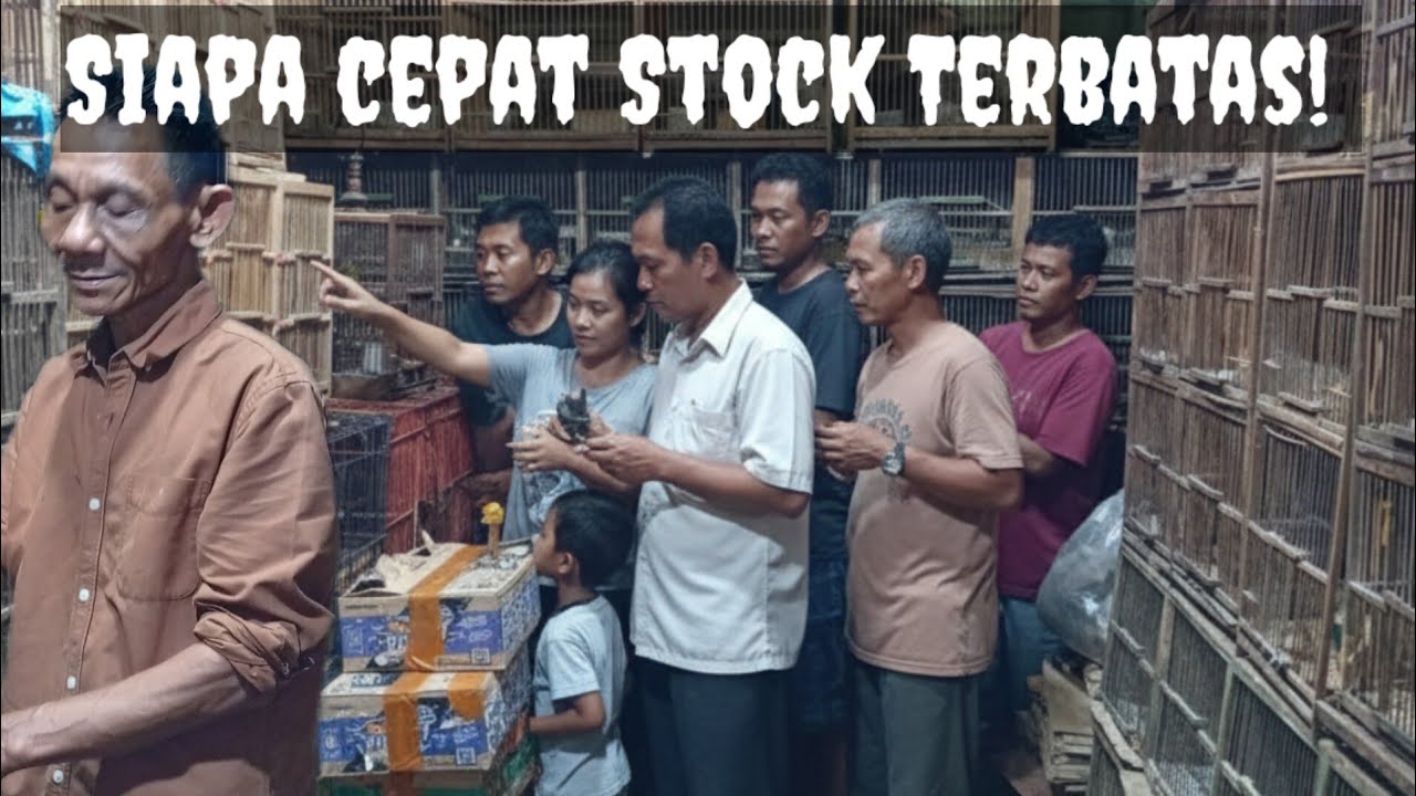 Siapa cepat Stock Terbatas! - YouTube