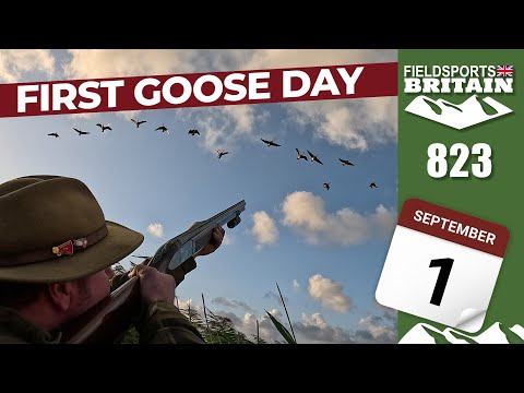 Fieldsports Britain – First day on the geese