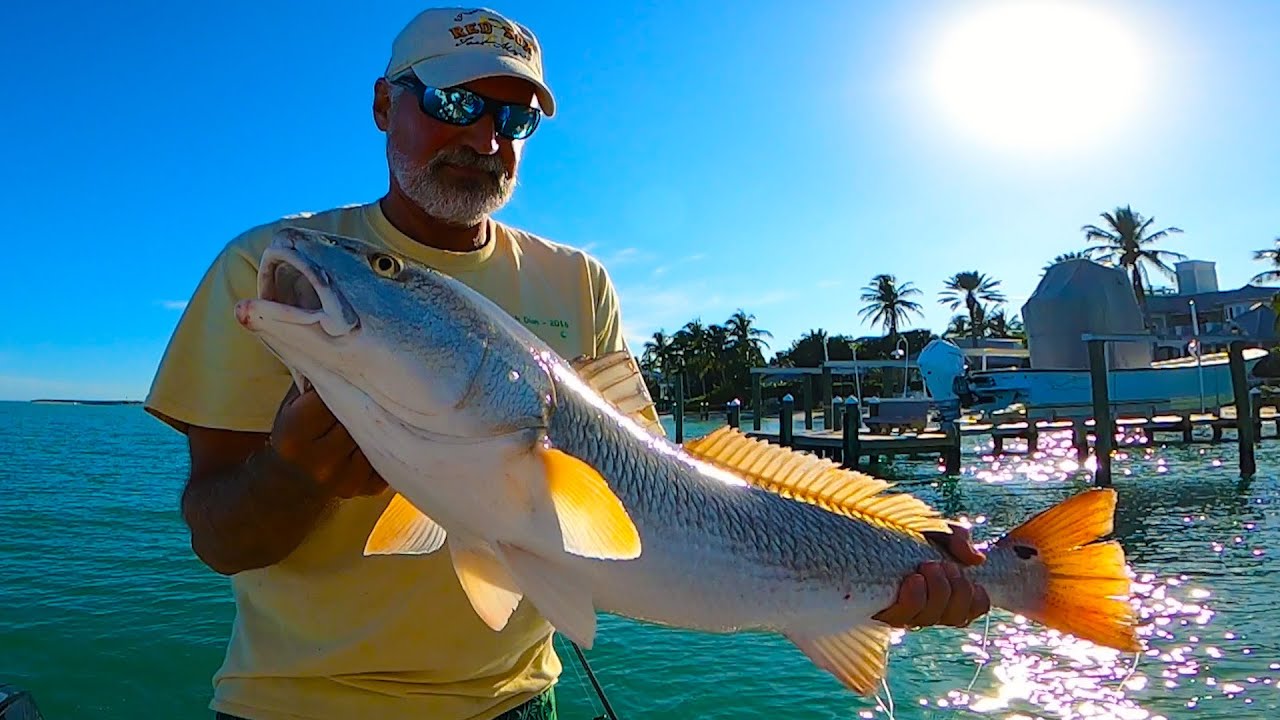 INSHORE FISHING SW Florida | Catch Clean Cook - YouTube
