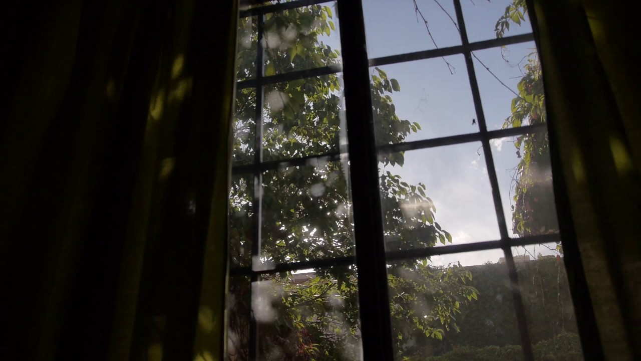 02 Free footage- window, sunlight, nature - YouTube