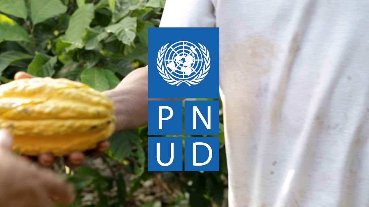 United Nations - PNUD - YouTube