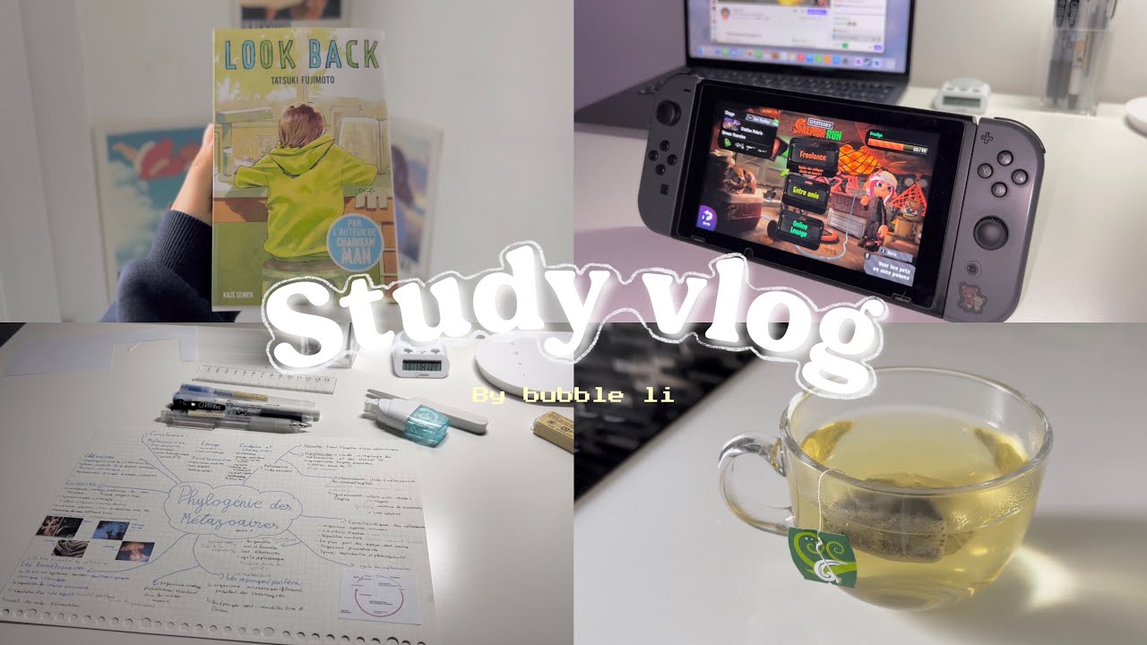 Study vlog n°2 / study, lecture, splatoon 2 - YouTube