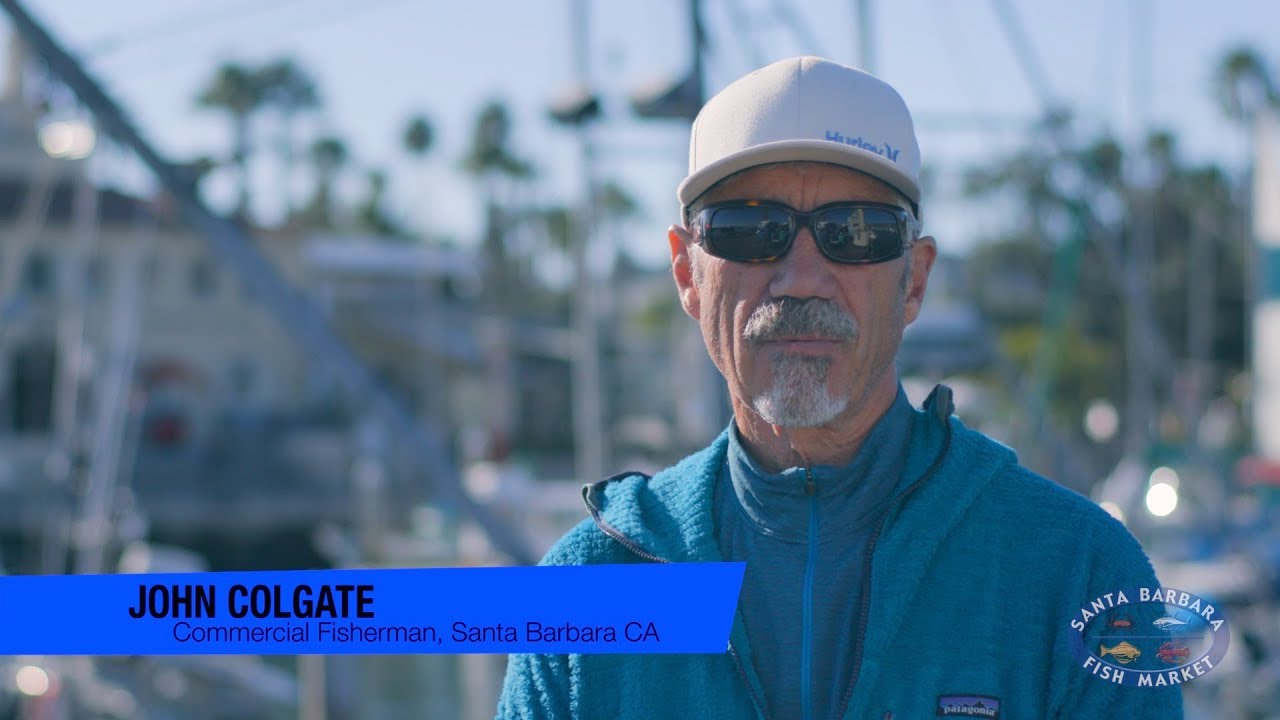 Local Commercial Fisherman John Colgate - Black Cod Fishing - YouTube