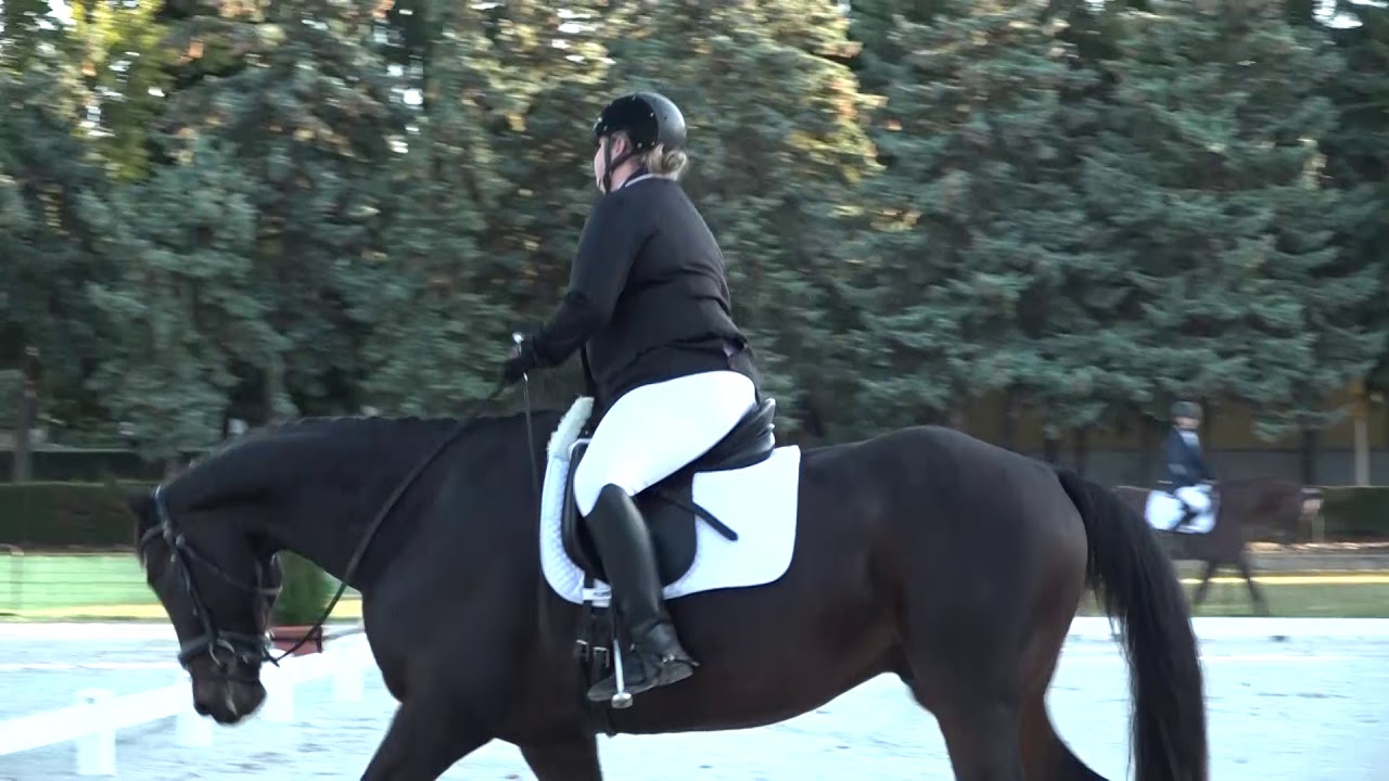 Nina Neumann - Riff Raff Heinrichsberg - A - Bábolna 2019 október 11-13 ...