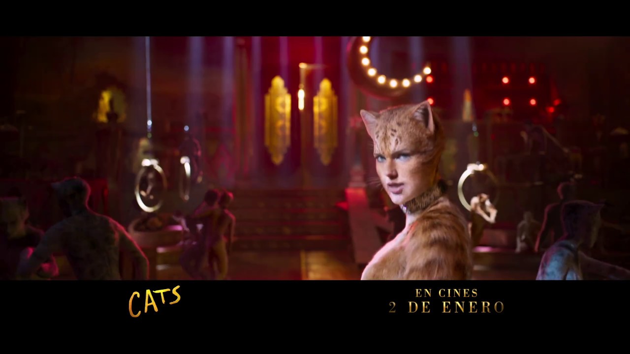 CATS - Wonder 20 - En cines Enero 2 - YouTube