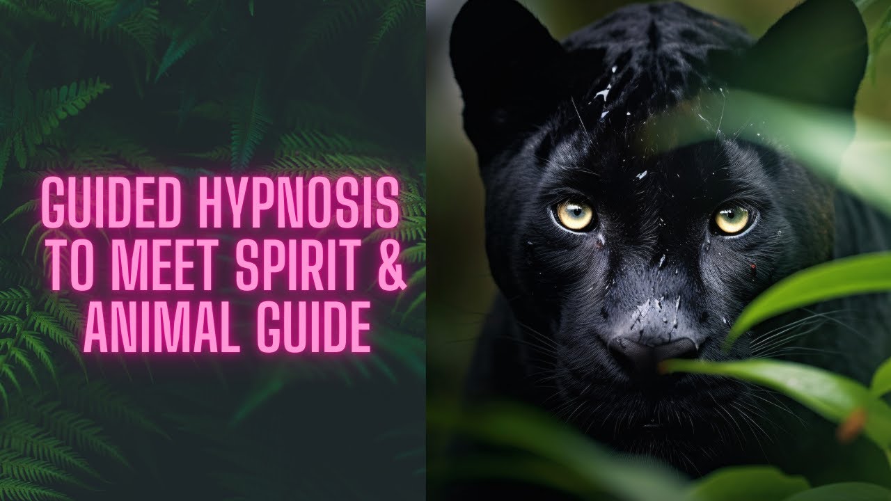 Guided Hypnosis To Meet Spirit & Animal Guide - YouTube