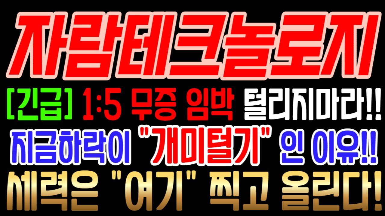 자람테크놀로지 주식 자람테크놀로지 주가전망 389020 자람테크놀로지주가전망 자람테크놀로지실시간 자람테크놀로지주가 자람
