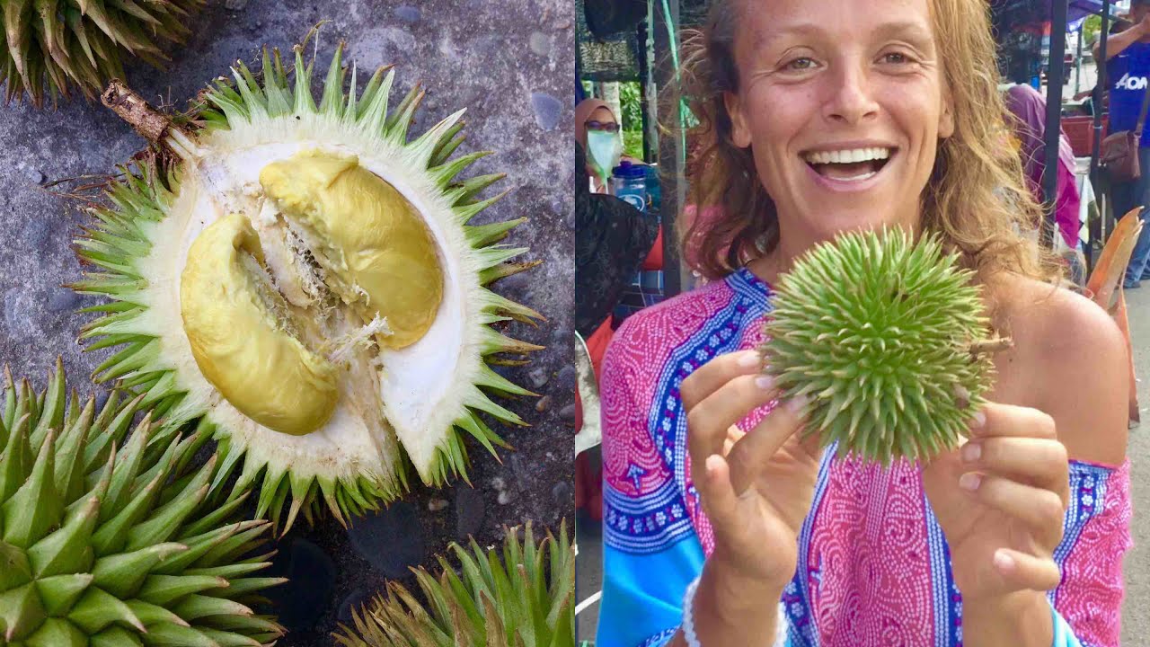 Eating the MOST RARE DURIAN in Borneo (durio oxyleanus) - YouTube