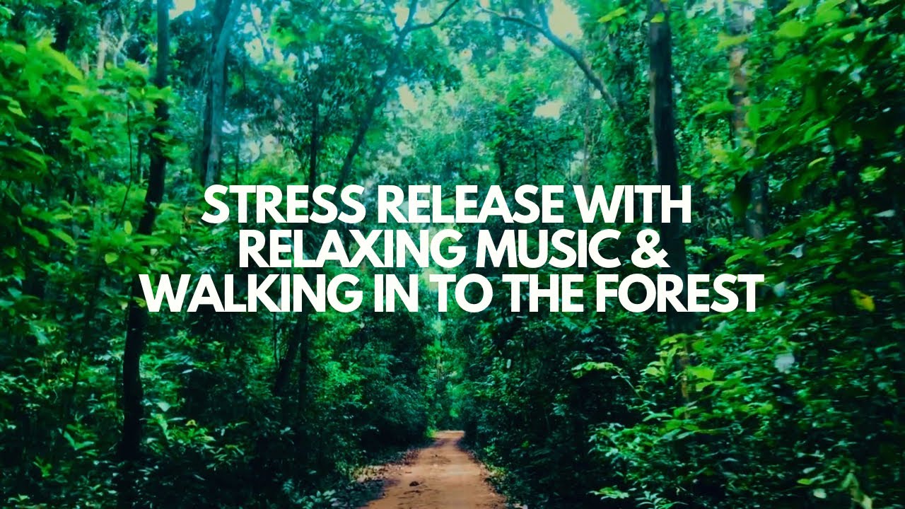 2025 New year Relaxation With Relaxing Music - YouTube