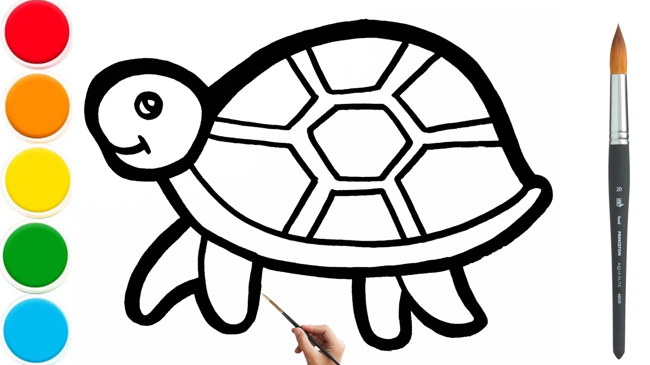 How To Draw Colourful Turtle | Easy Step By Step Drawing Tutorial - YouTube