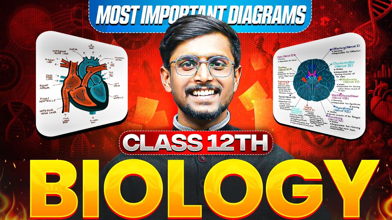 NIOS Class 12th Biology | Most Important Diagram of Biology | यही आएगा ...