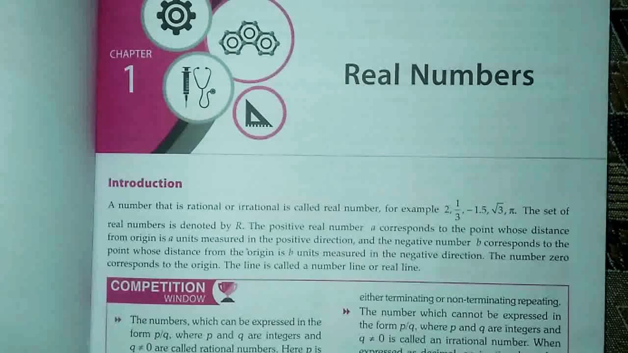 Pseb Class 10 MCQ Chapter 1 REAL NUMBER - YouTube