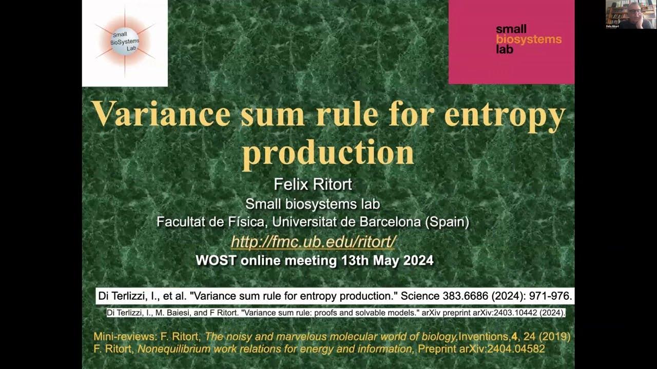 Felix Ritort: Variance sum rule for entropy production - YouTube