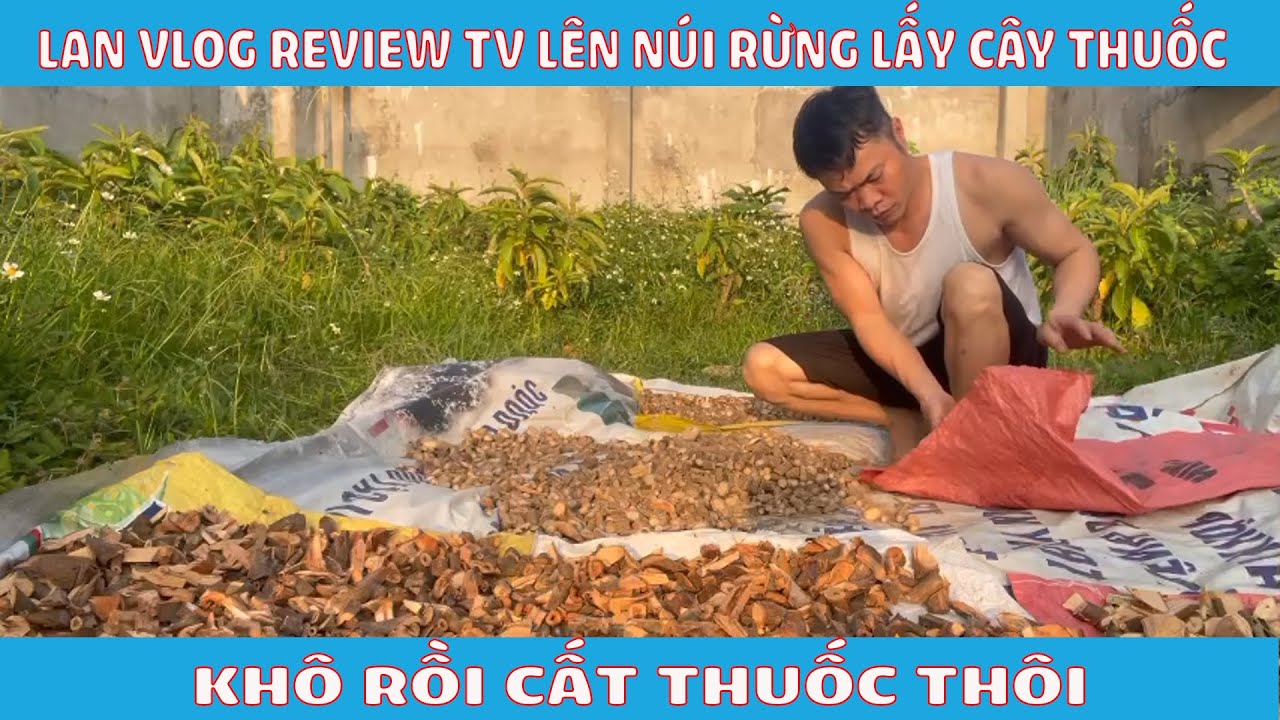 Lan Vlog Review TV Khô Rồi Cất Thuốc Thôi #123 - YouTube