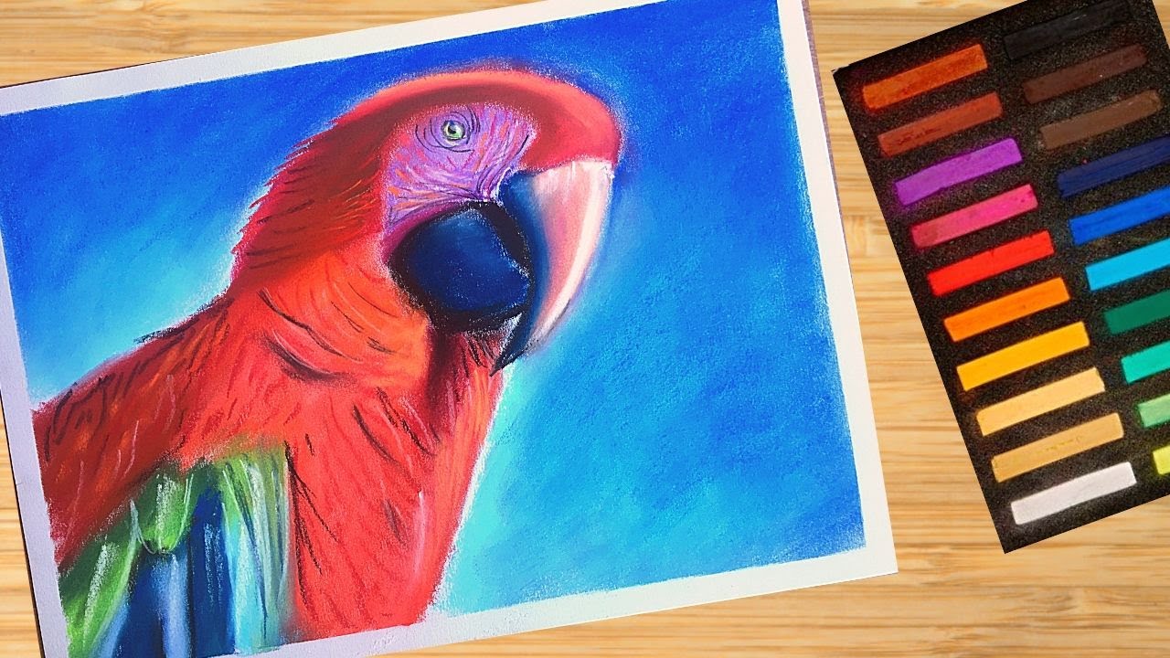 How to draw a parrot with soft pastels | Easy Soft pastel drawing for ...