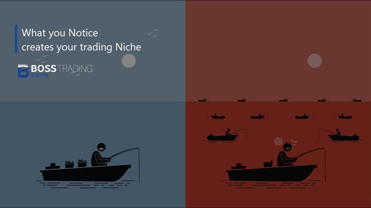 What you Notice creates your trading Niche - YouTube