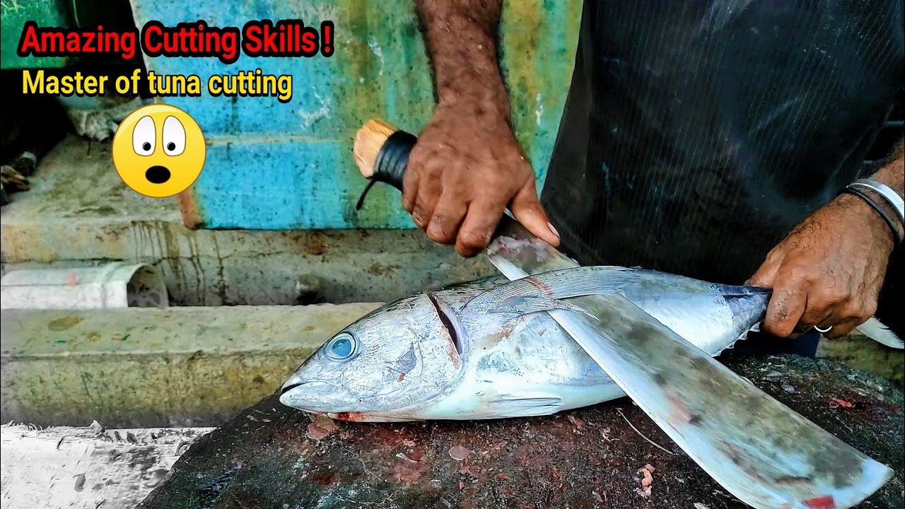 Tuna cutting skills using Super Sharp Knife by Tuna cutting master ...