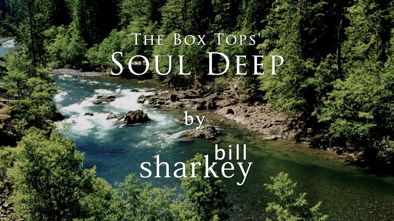 Soul Deep - Box Tops, The (cover-live by Bill Sharkey) - YouTube