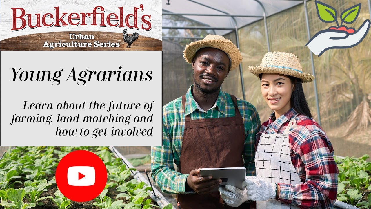 Young Agrarians | The future of farming, land matching and getting ...