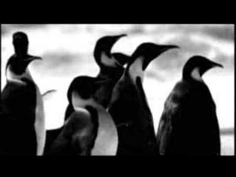 Faster Penguin March! March! March! - YouTube