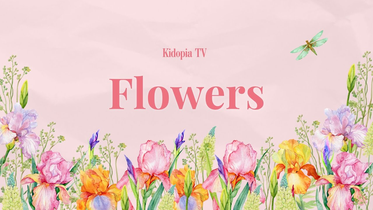 Unit 3: Let's learn Flowers | Glenn Doman | Early Education - YouTube