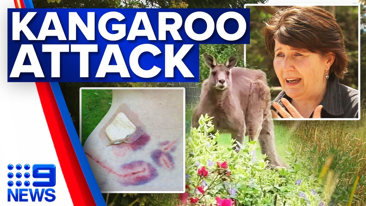 Kangaroo Attacks Woman
