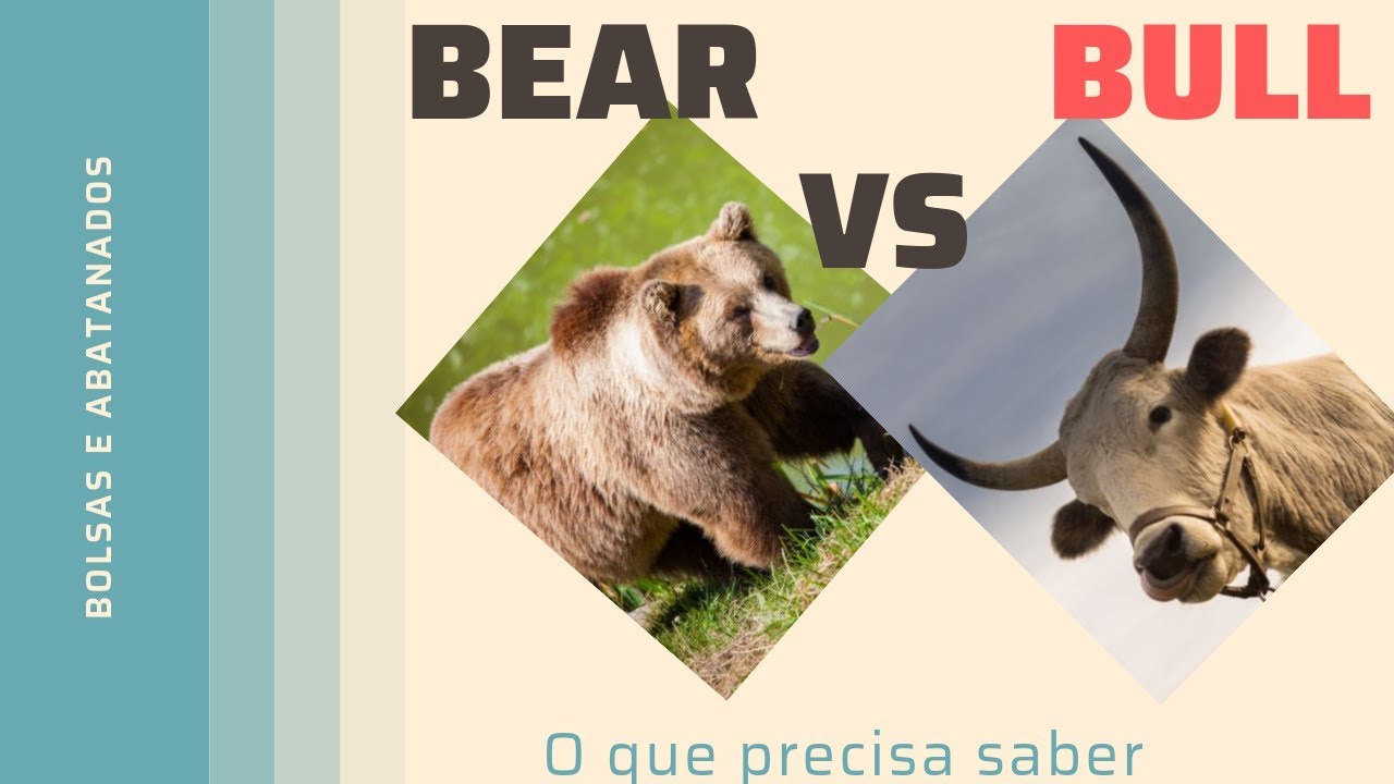 O que é um mercado "Bear" e um mercado "Bull"? - YouTube