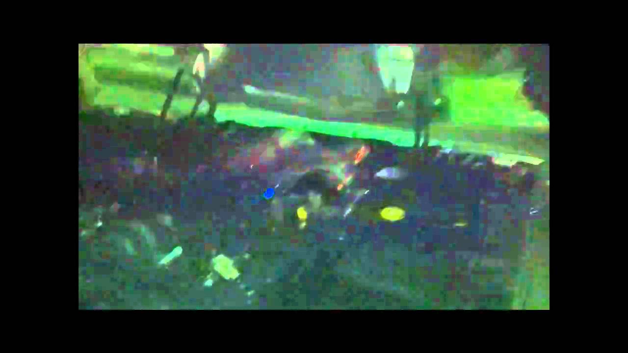 Supercharged corvette Stage 3 dodge neon z06 corvette c6 corvette cam ...