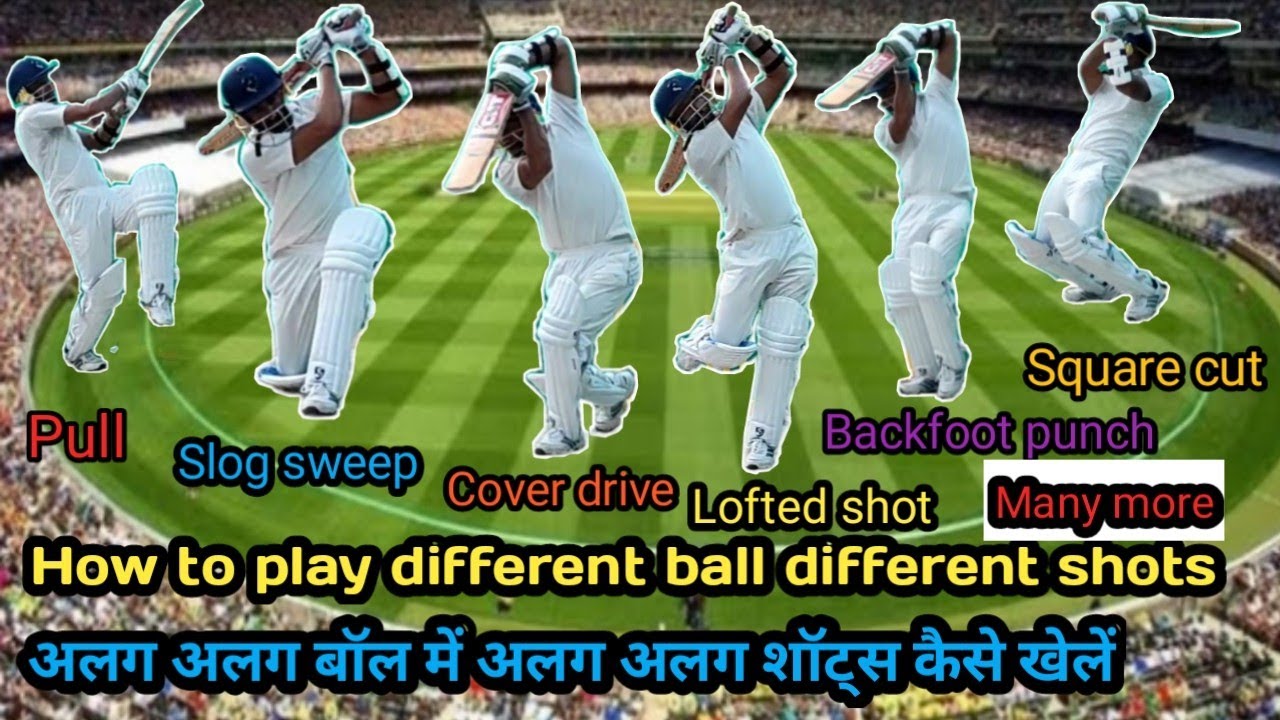 How to play different shots against different ball in cricket | cricket ...