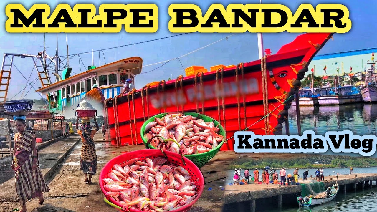 Malpe Bandar //Malpe Fish Market //Mrkharvi - YouTube