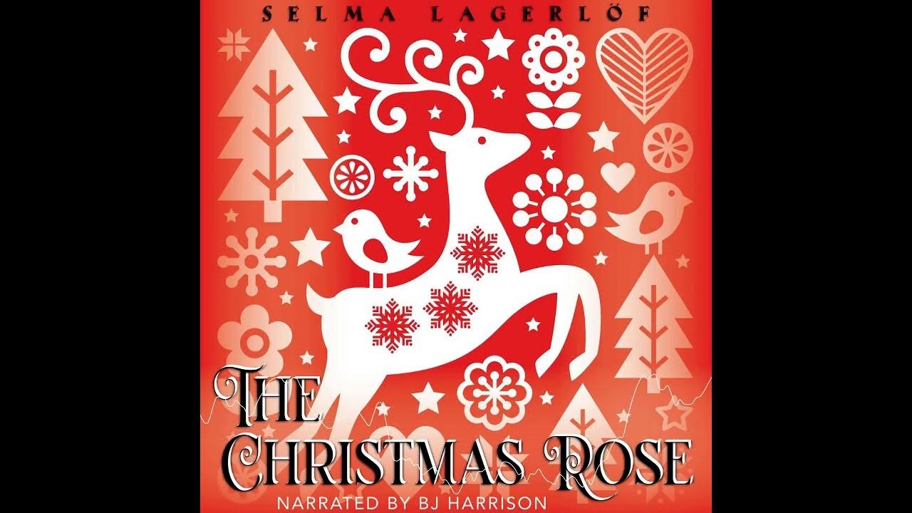 The Legend of the Christmas Rose by Selma Lagerlöf Ep 991 The Classic ...