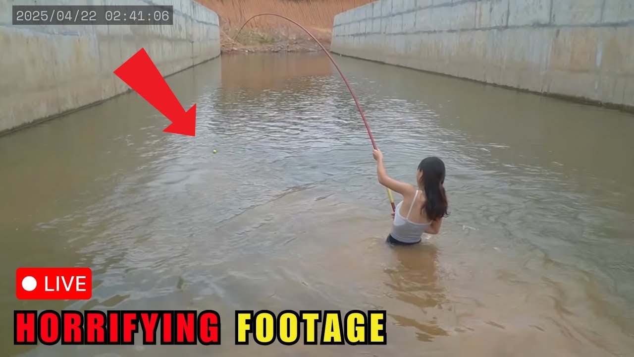 100 Shocking Fishing Encounters Caught on Camera | Live - YouTube