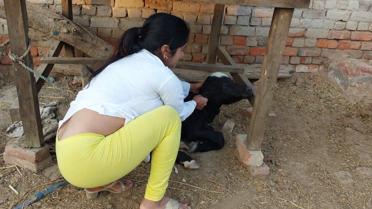 Daily Life Style Vlog | New Viral Vlog Video 2025 | Multani Kuri Pk Vlog - YouTube