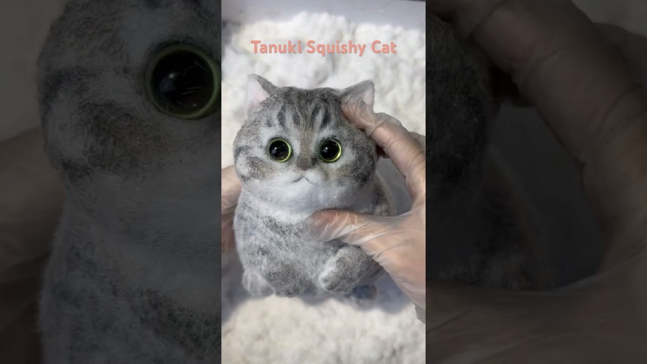 Chubby round tanuki cat with green eyes #squishy #diy #cute #cat # ...