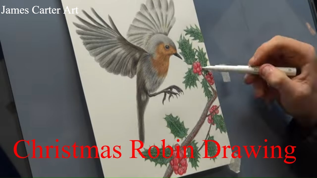 Christmas Robin Drawing with Holly - YouTube