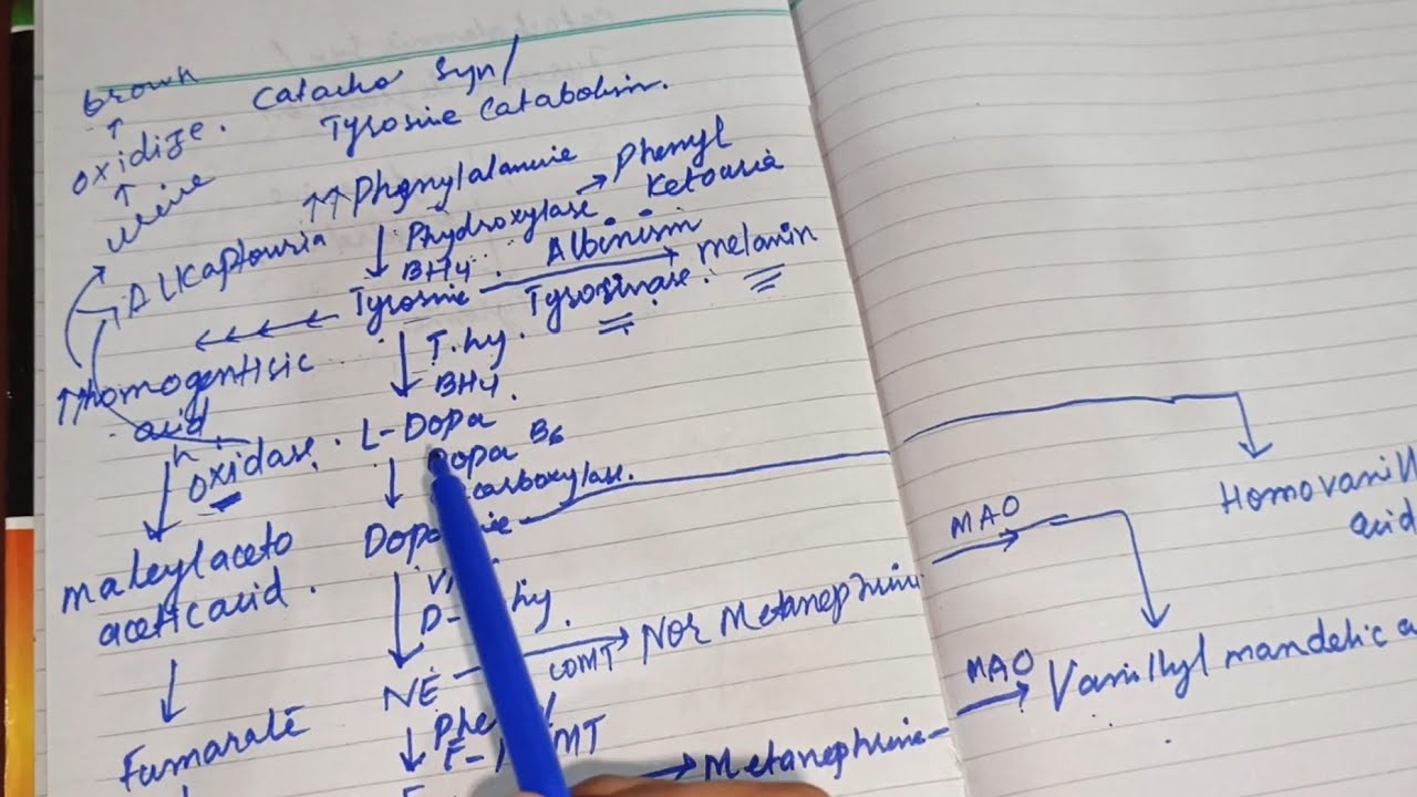 Catecholamine Synthesis Made Easy | USMLE Step 1 High-Yield ...