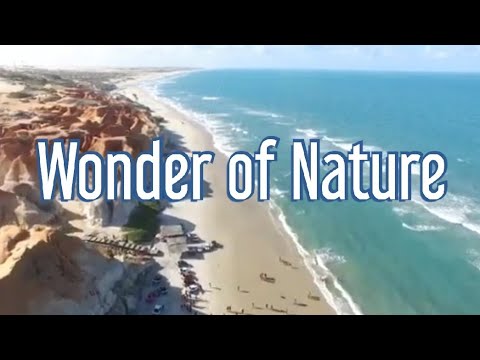 London Beach | Nature Sunset #youtube
