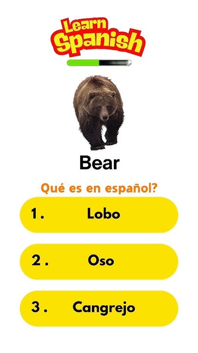 SPANISH VOCABULARY Intermediate/Learn the Most useful Spanish ...