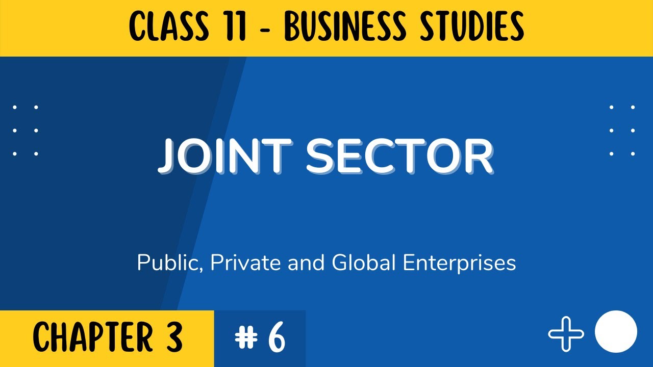 Joint Sector | Class 11 Business Studies | Term 1 | Chapter 3 | Part 6 ...