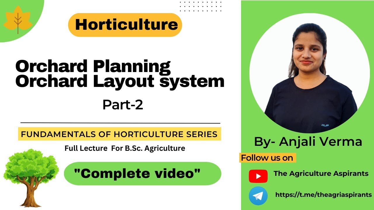 Orchard Layout Design Orchard Establishment Orchard Layout And orchard-layout-design-orchard-establishment-orchard-layout-and