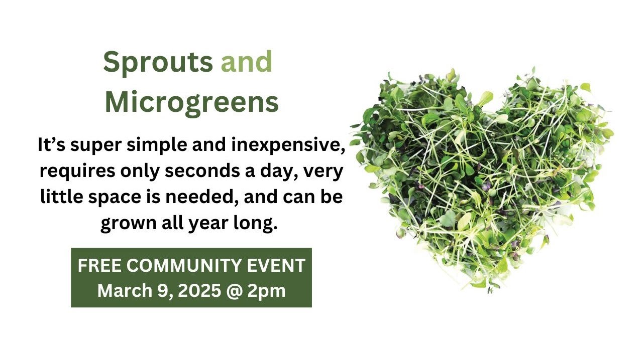 Sprouts and Microgreens Class - YouTube
