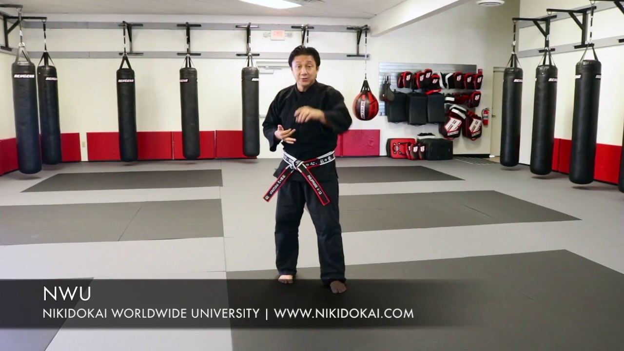 Hanshi Nico on Why He Created Nikidokai University - YouTube