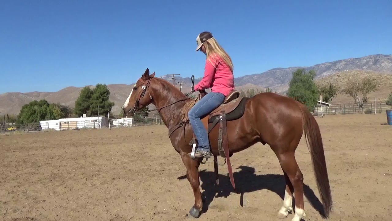 Scottie too hottie throwback practice sess - YouTube