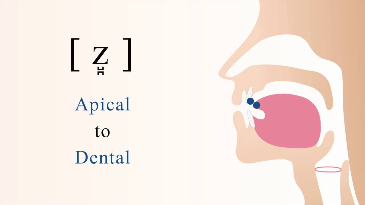 [ z̺̪ ] voiced apical dental sibilant fricative - YouTube
