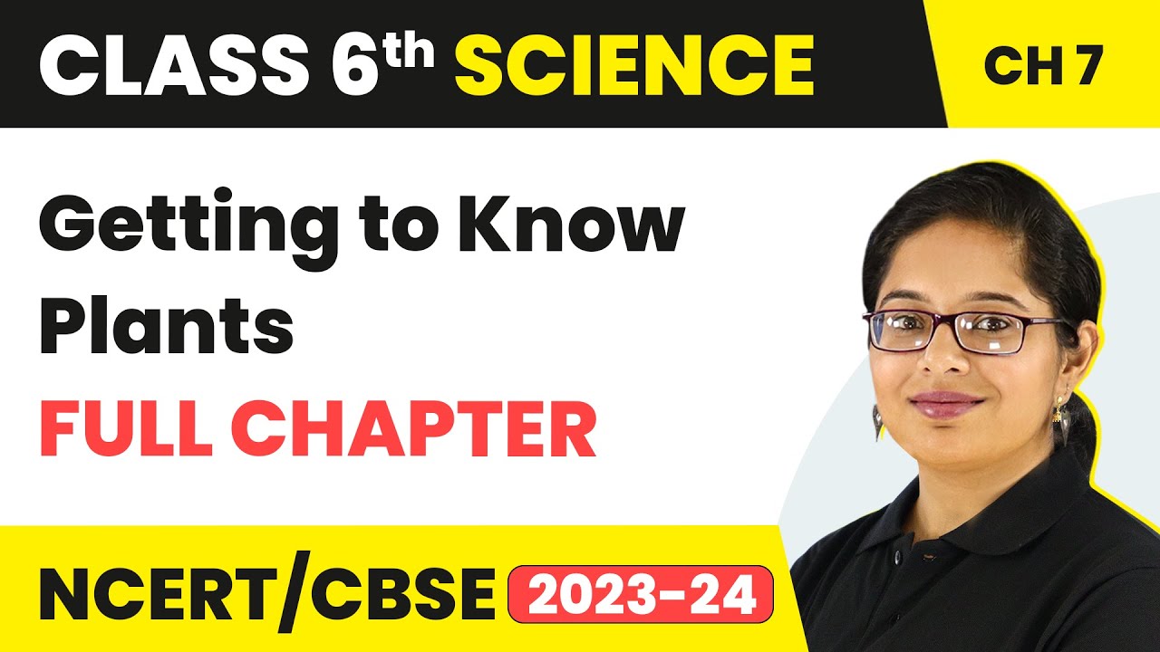 Getting To Know Plants Full Chapter Class 6 Science NCERT Science getting-to-know-plants-full-chapter-class-6-science-ncert-science
