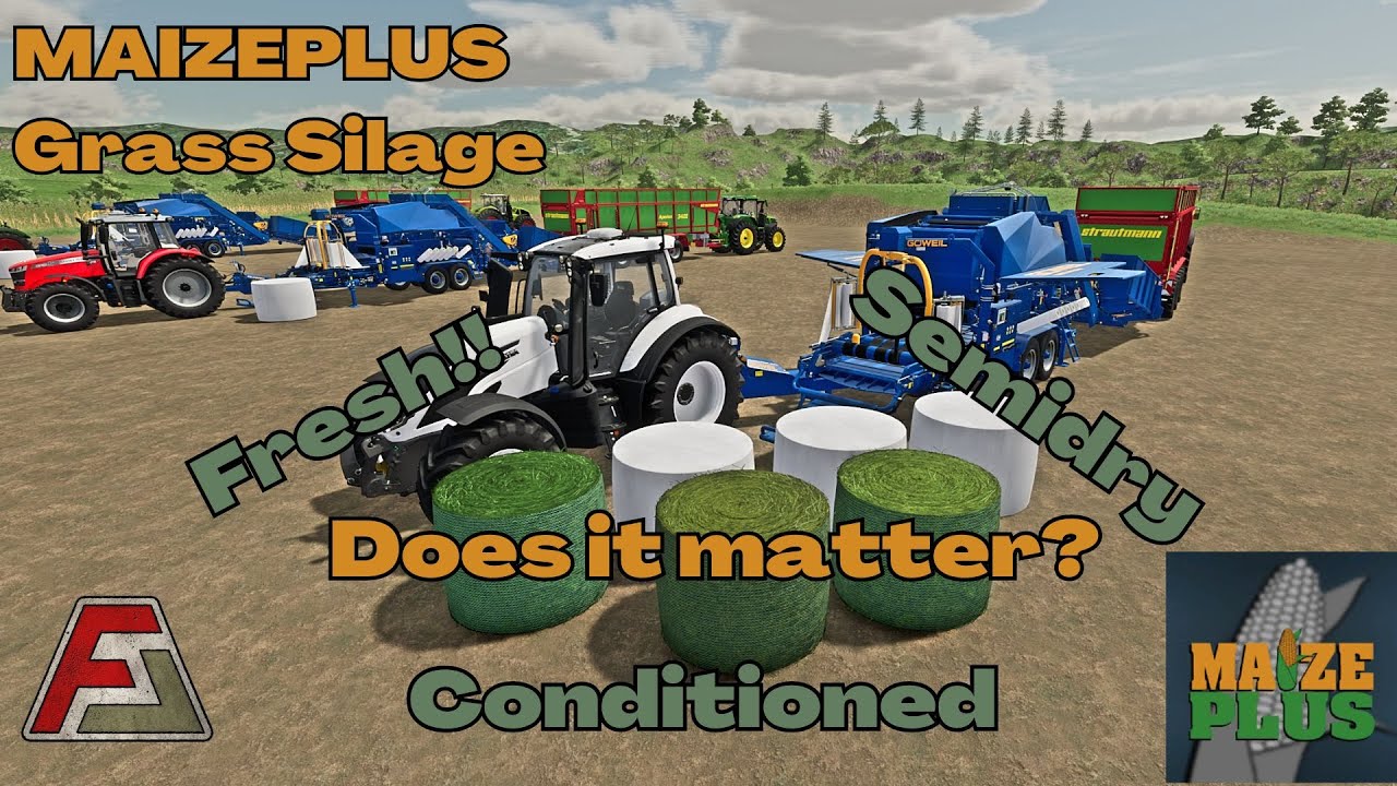 FRESH, CONDITIONED OR SEMIDRY | DOES IT MATTER? | MAIZEPLUS | FARMING ...