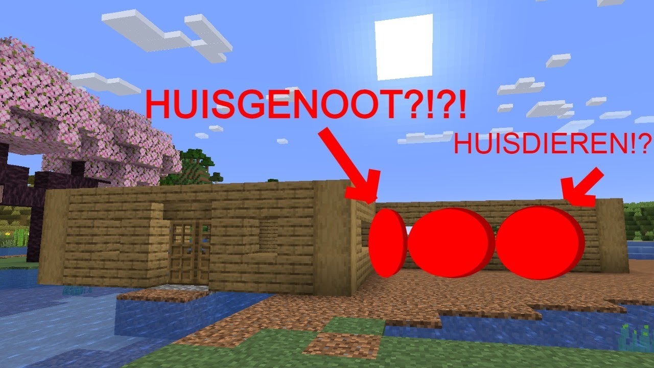 Gewoon-Spelen : NIEUWE MINECRAFT HUISGENOOT!? / minecraft #2 ...