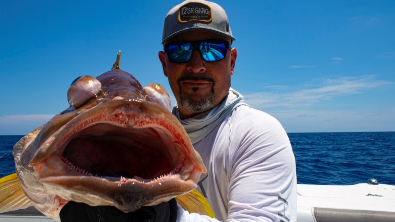 Fish Gang Episode 1 Deep Sea Deep Drop on Monster Groupers - YouTube