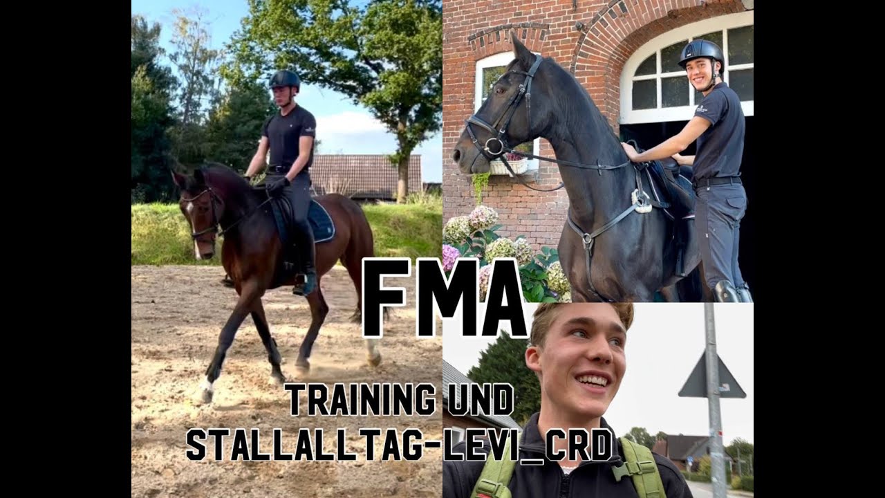 FMA Stallalltag und Training 🤩 | Levi Cordes - YouTube